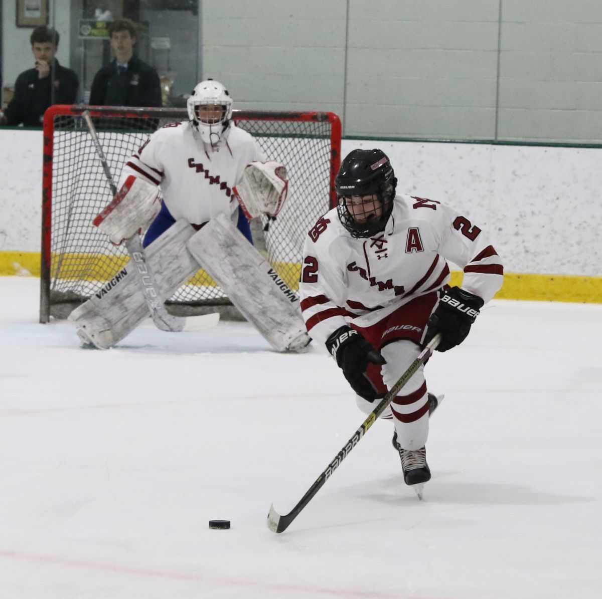 Boys Ice Hockey Completes Second Best Season in School History ...