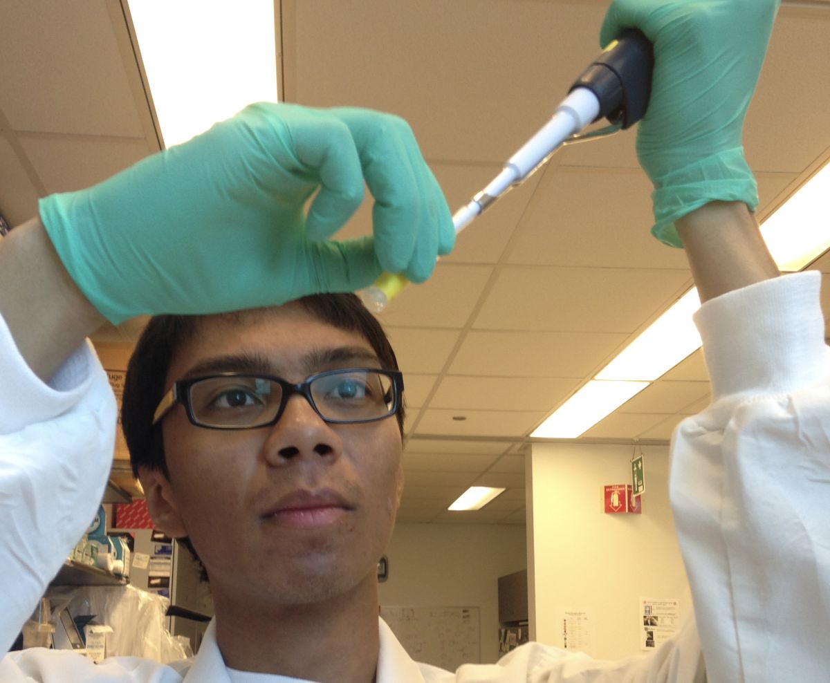 A Decade of Discovery: The Schiff Family Science Research Institute ...