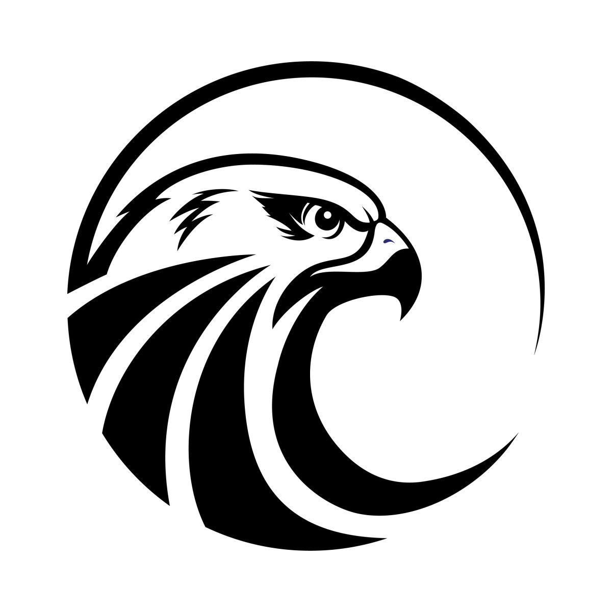 Welcome Back Hyde Park Hawks! Spring Updates and Reminders. | Details