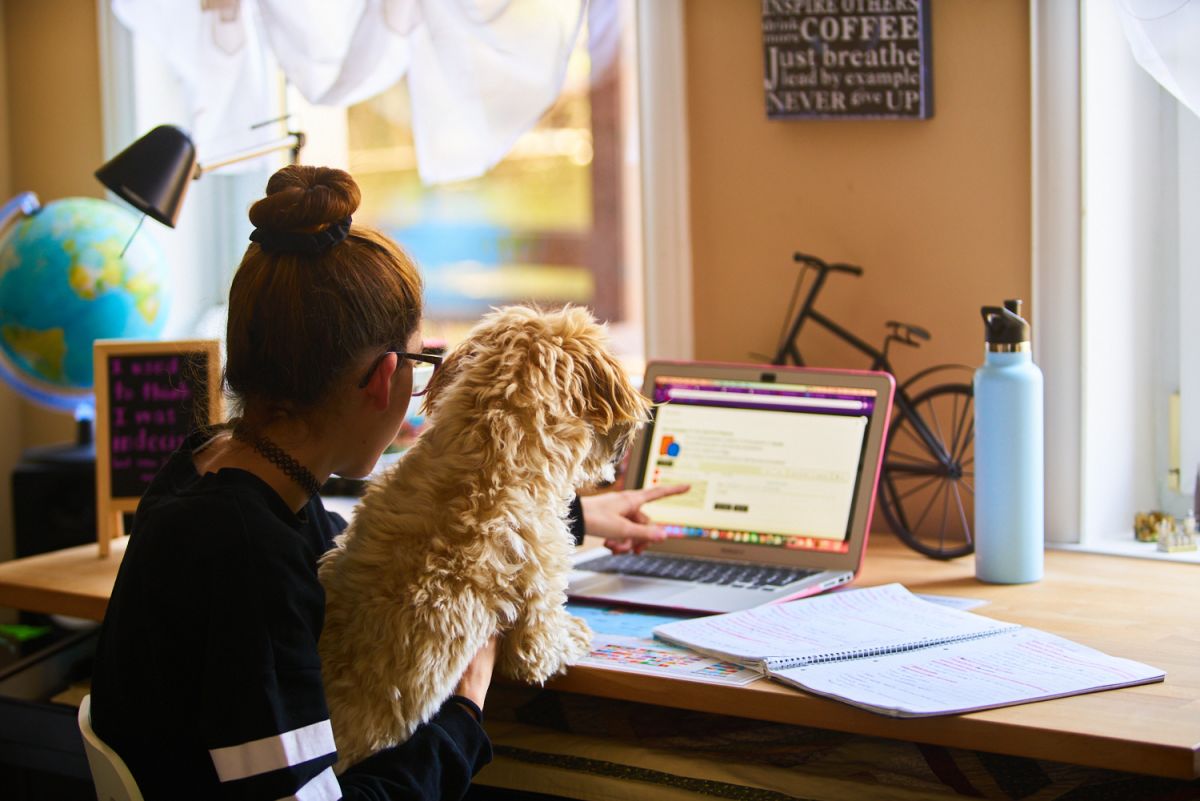 Distance Learning in Action - International Christian School of ...