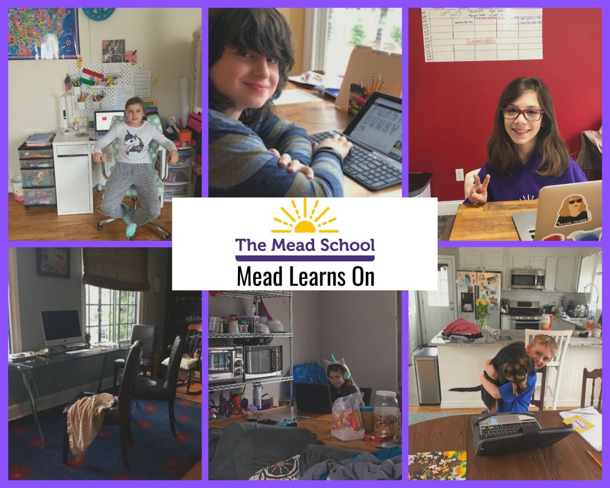 Mead Learns On! | News Story