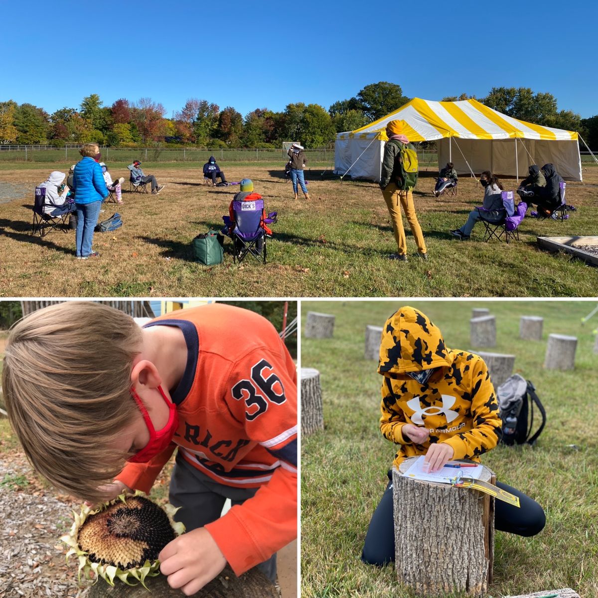 4 Ways to Help Students Through Long-Term Challenges | Sparhawk School Blog