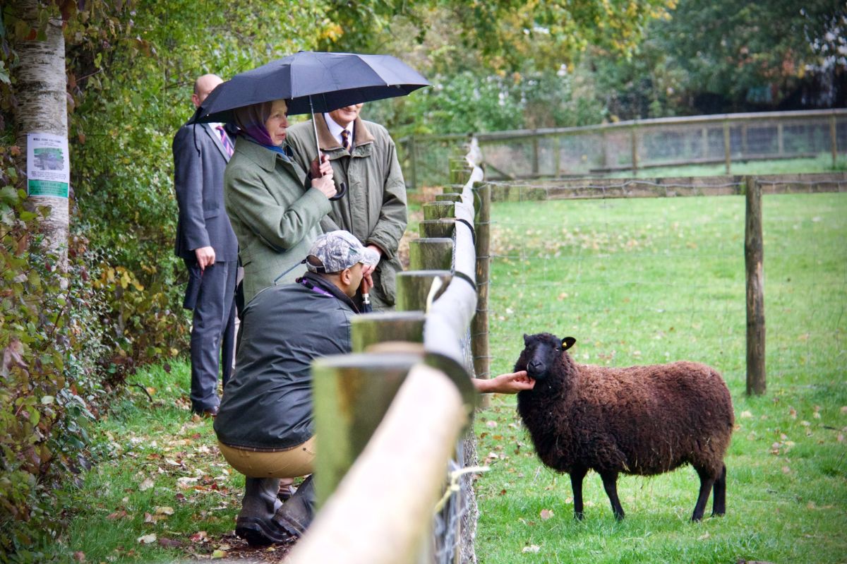 HRH The Princess Royal visits Oasis Southampton City Farm | News Details