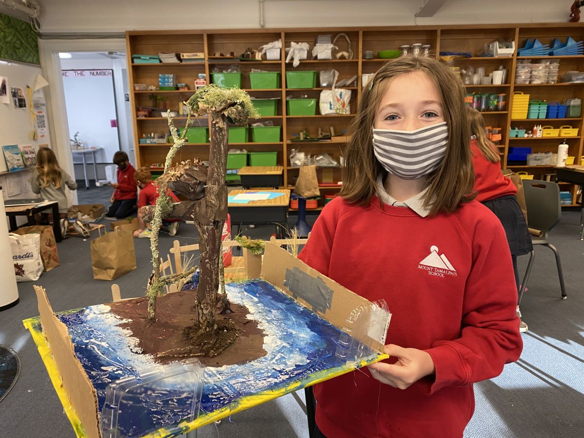 Learning About Wildlife Conservation in STEM Class | Blog