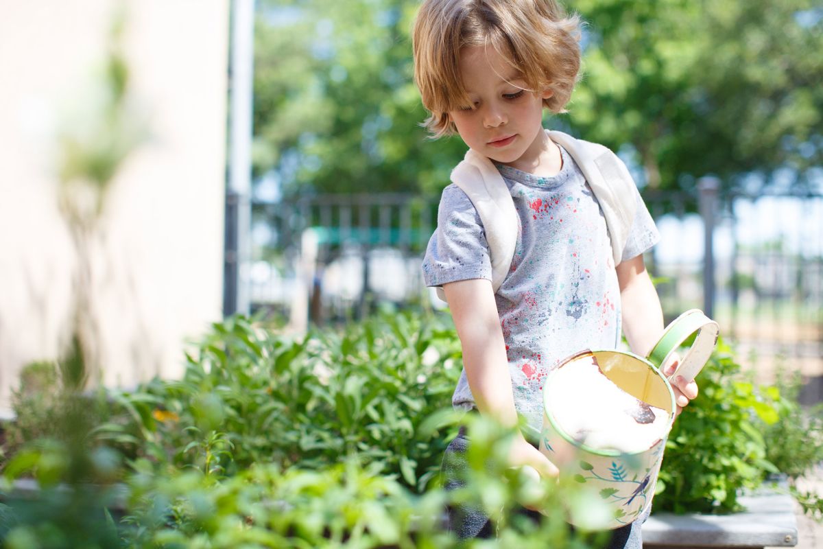 Tasks Children Can Do to Learn Responsibility | The Post Article