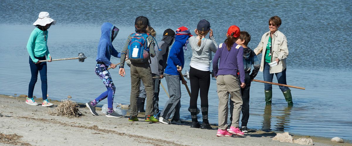 Crustacean Legislation: Fourth Graders Petition Utah to Make Brine ...