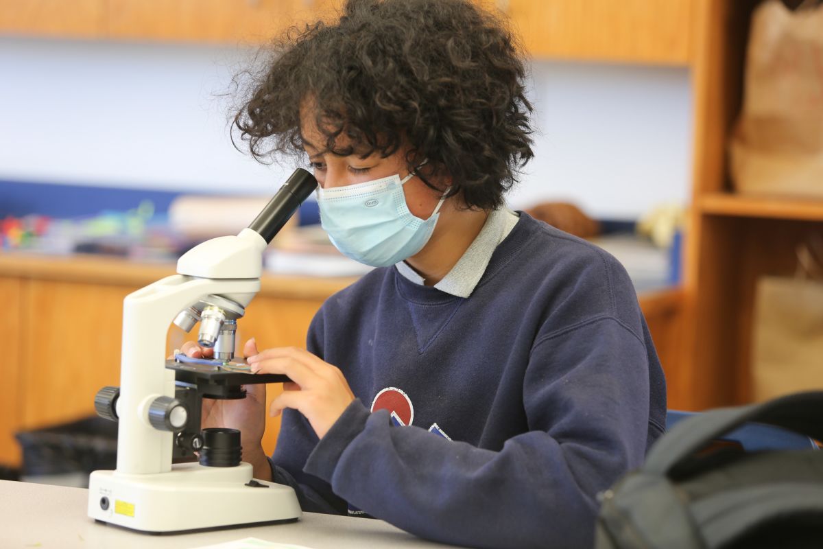 7th Grade Students Study Photosynthesis in the Lab | Blog