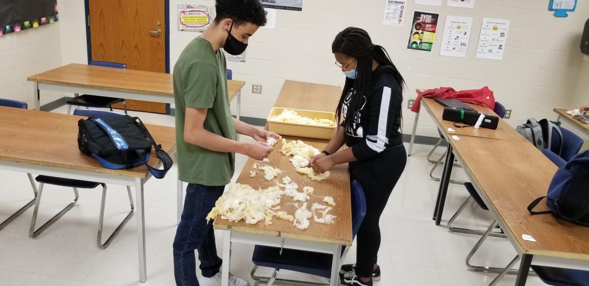 Students Take Raw Materials from Pasture to Product | News Stories