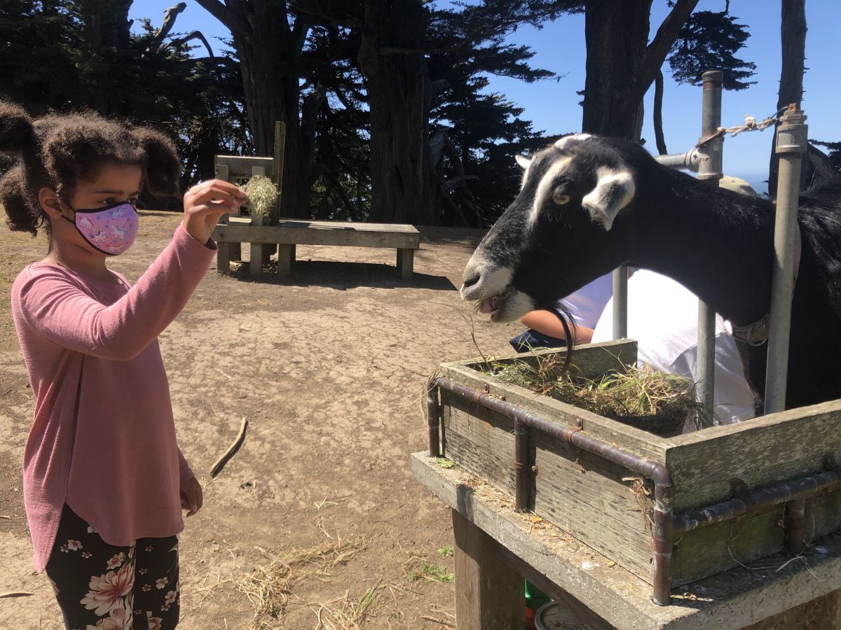 Farming, Geometry, Mapping, and Money | Blog