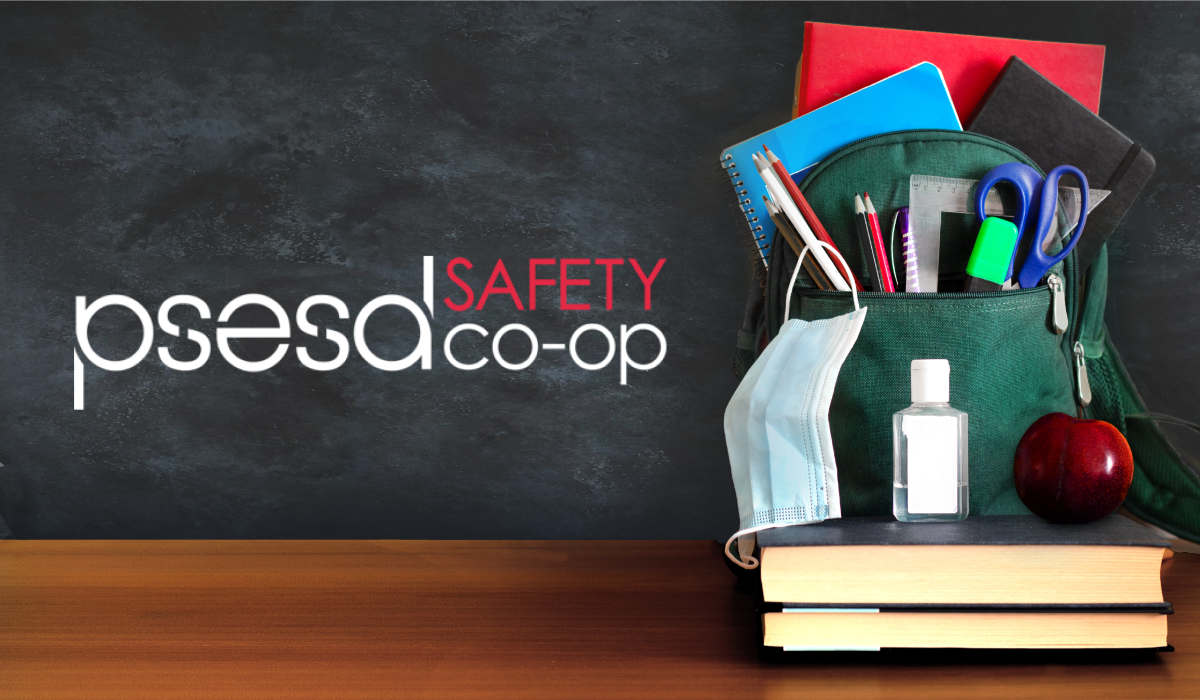 PSESD Regional School Safety Center: Antiracist, Holistic Violence ...