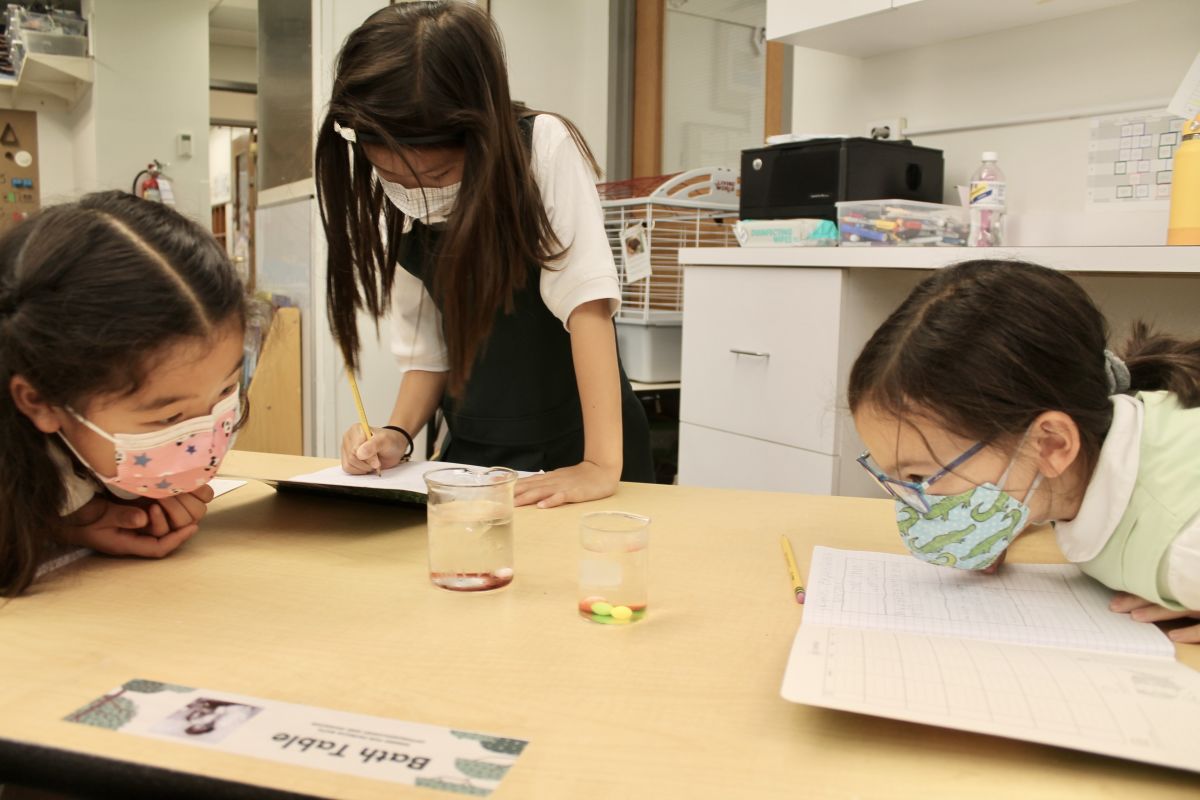 Colorful Creations in LS Science | Stories Details Page