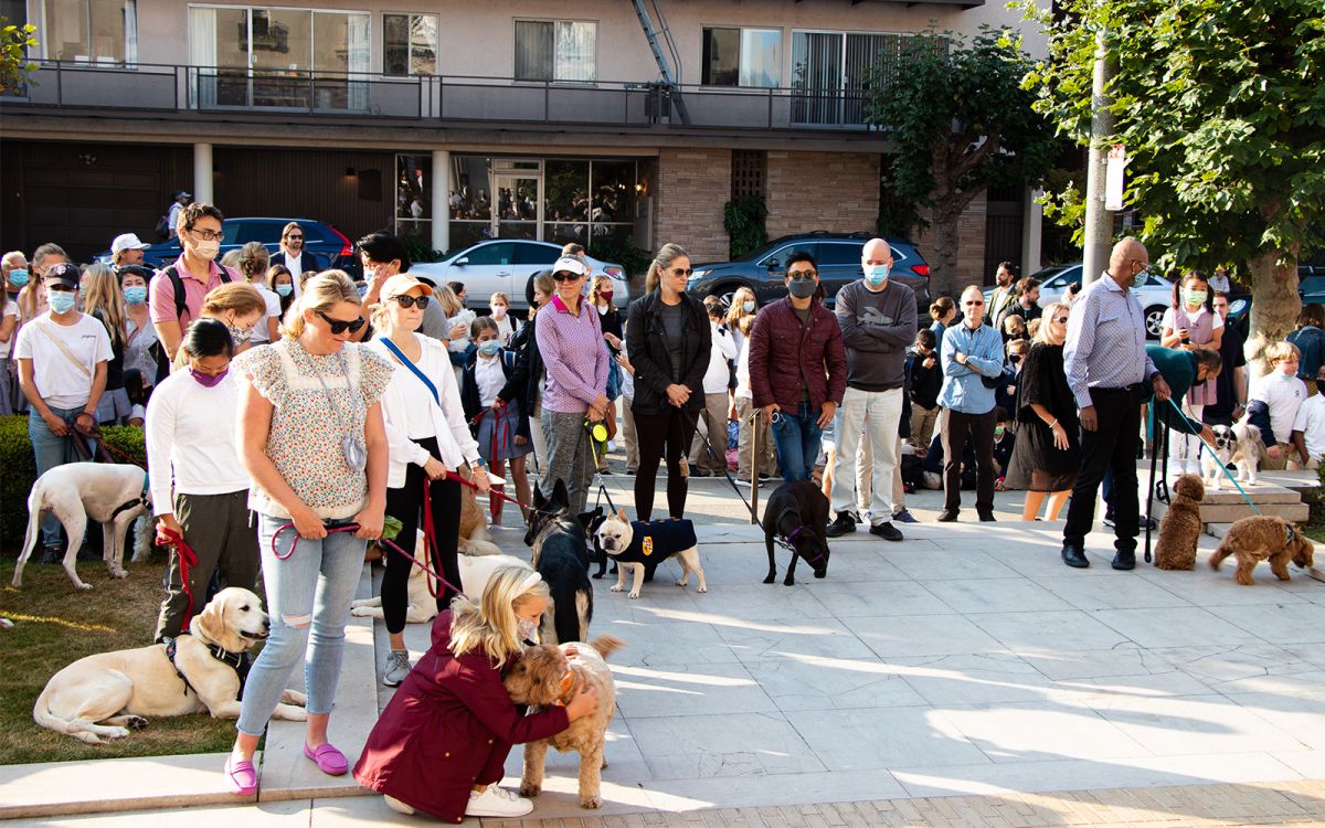Pets Receive Blessing on St. Francis’ Feast Day | News | Convent ...