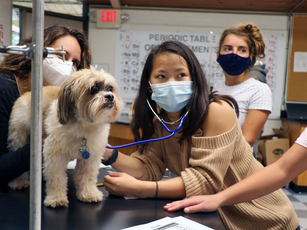 The Dog Days – GSB Students Extend the Classroom in Animal Science ...