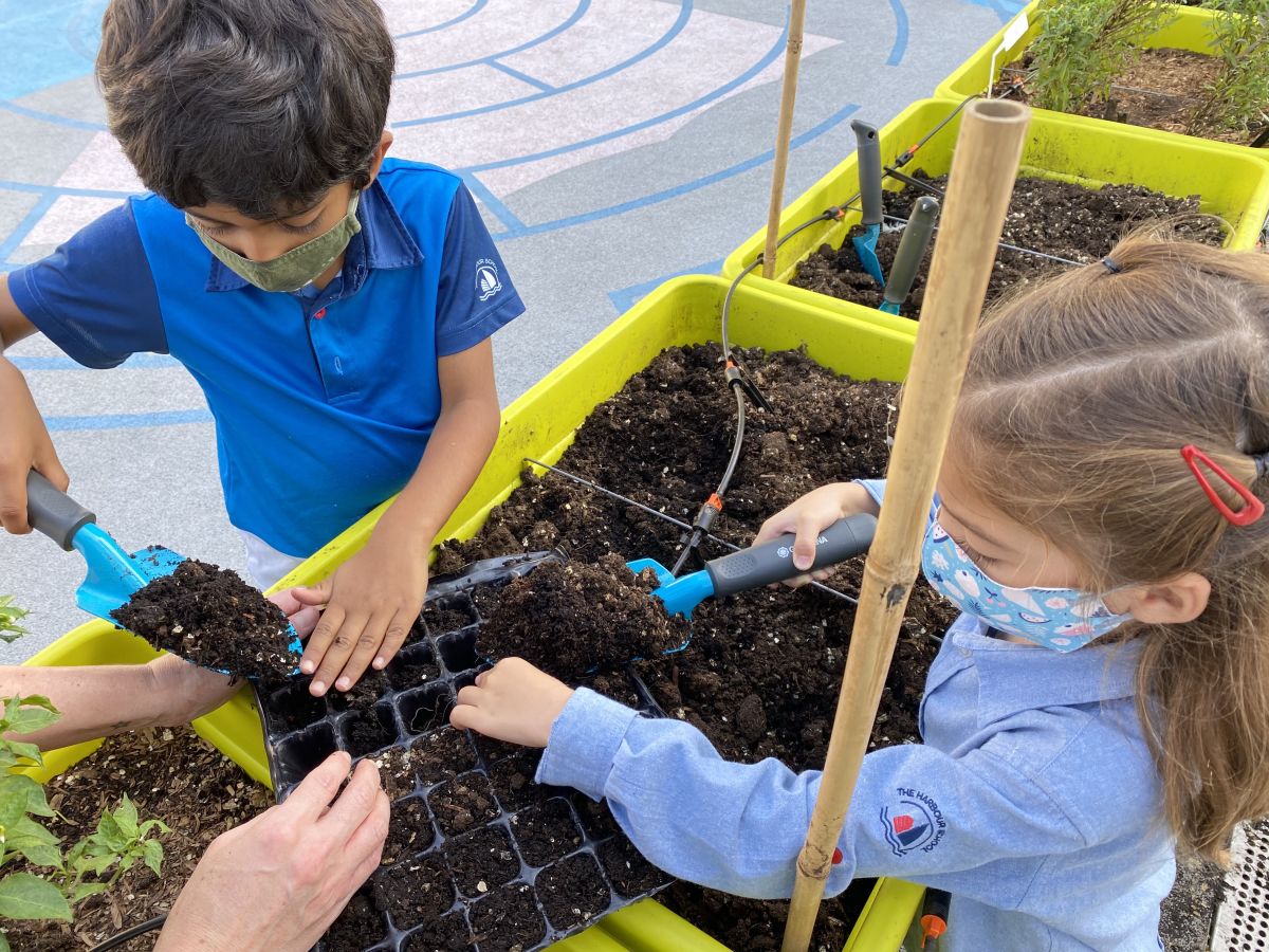Organic Learning Opportunities | Blog