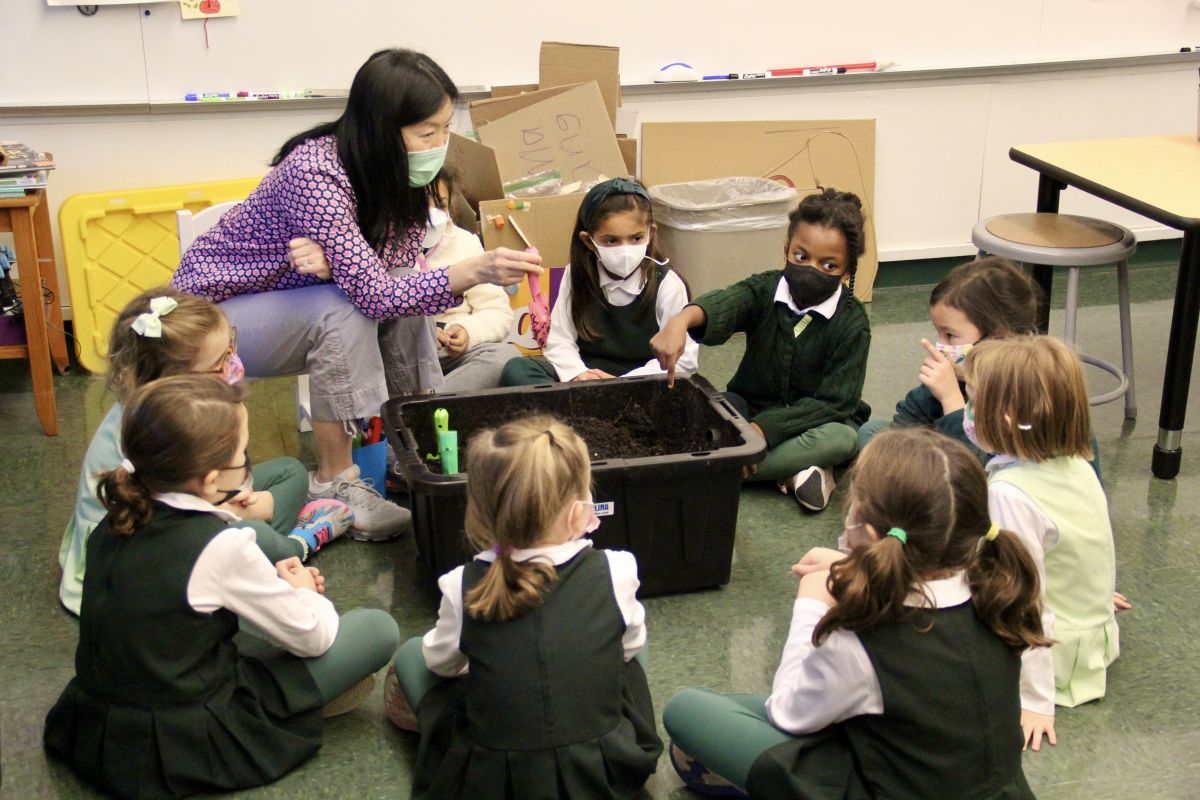 Class 1 Compost | Stories Details Page