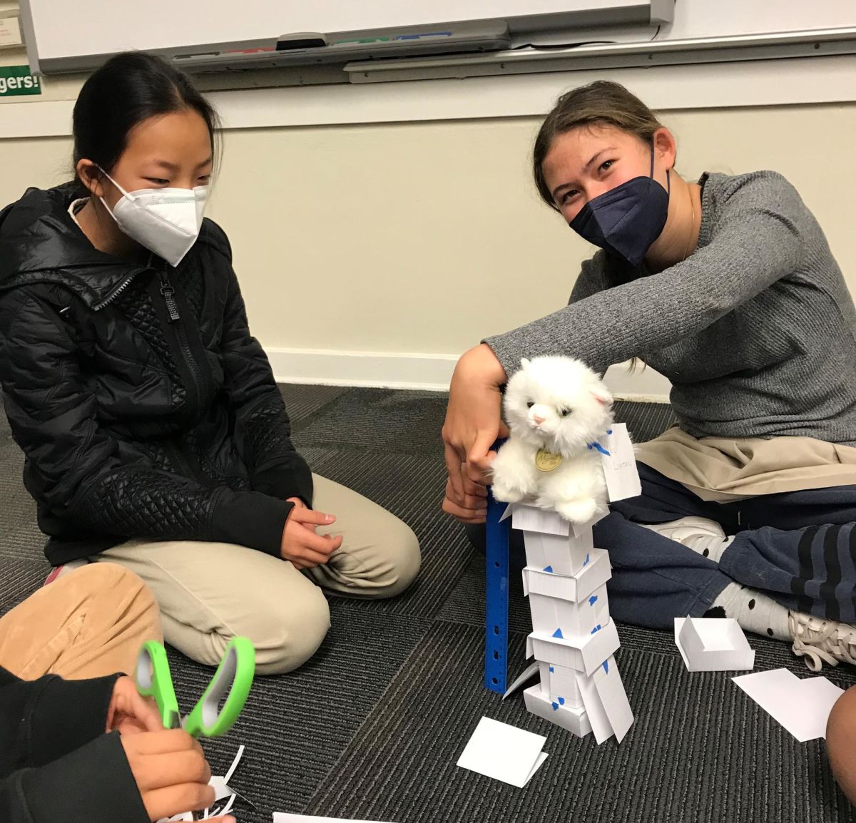 Save the Cat! 7th Grade Builds Index Card Towers Using the Engineering ...