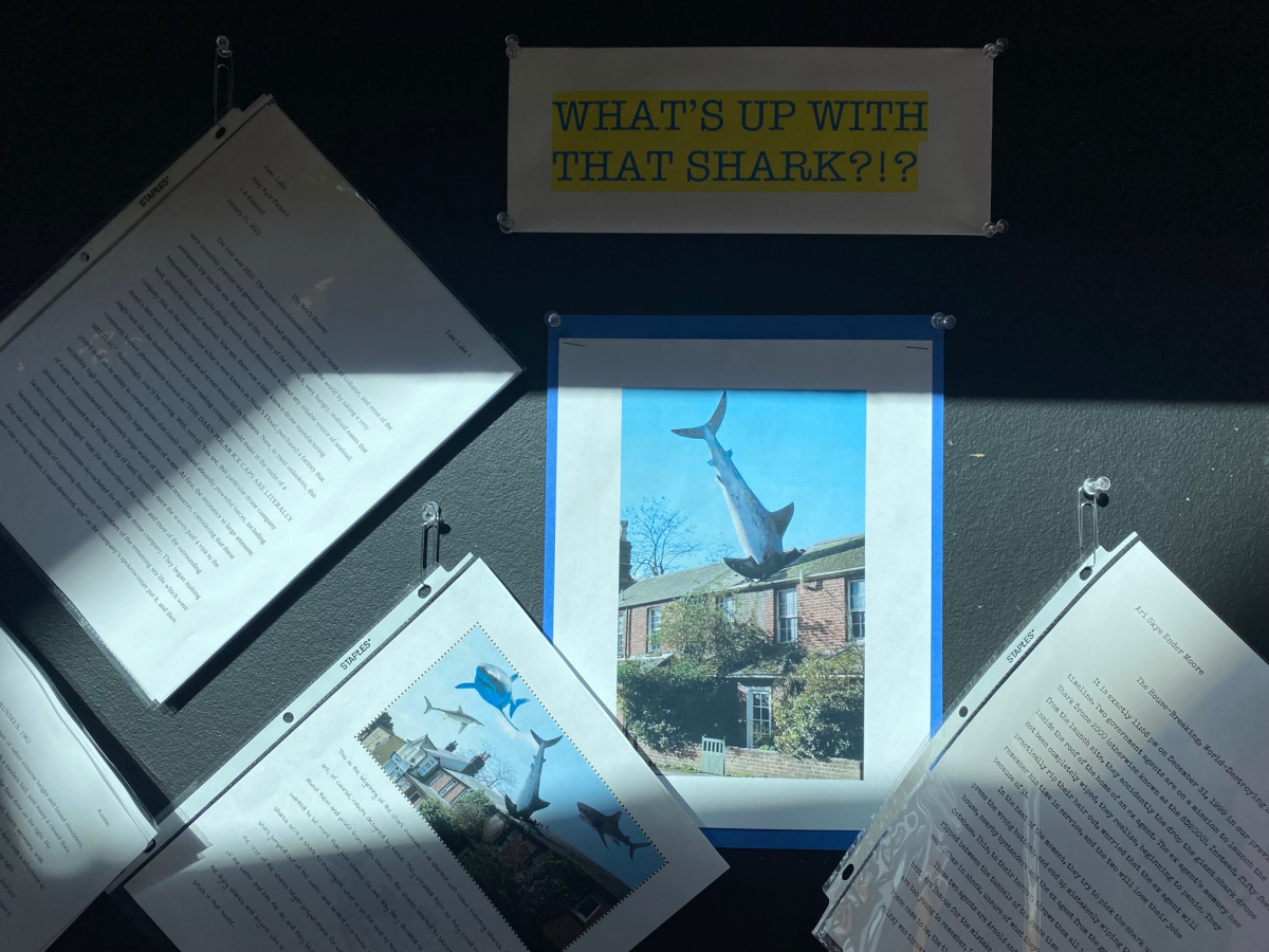 See, Think, Wonder: Harvard's Project Zero in Action | News Story