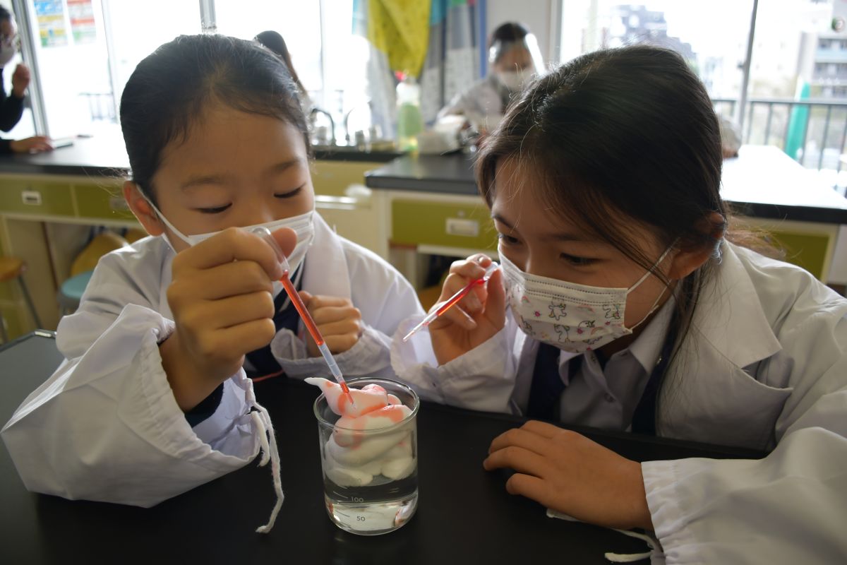 Grade 4 units of inquiry: 'Natural Systems' & 'Interconnectedness ...