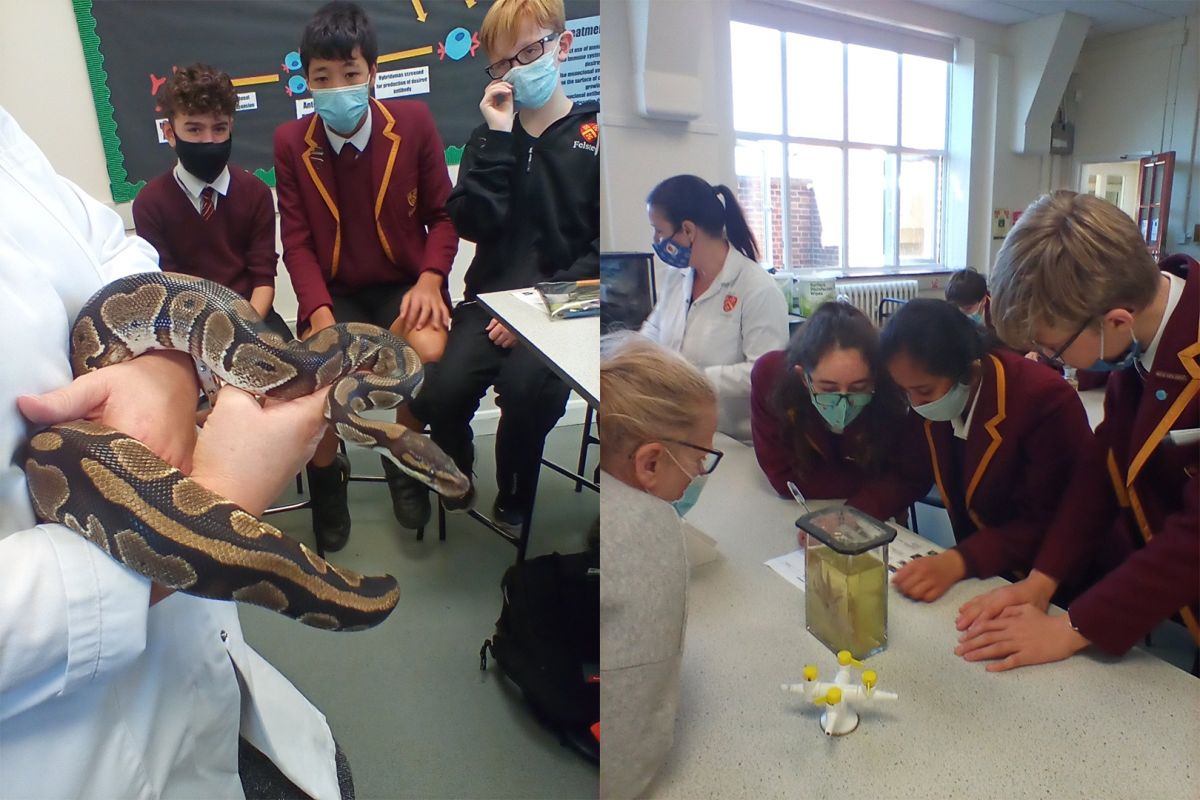 Prep Science Masterclass in the Senior Science Labs | Posts Page