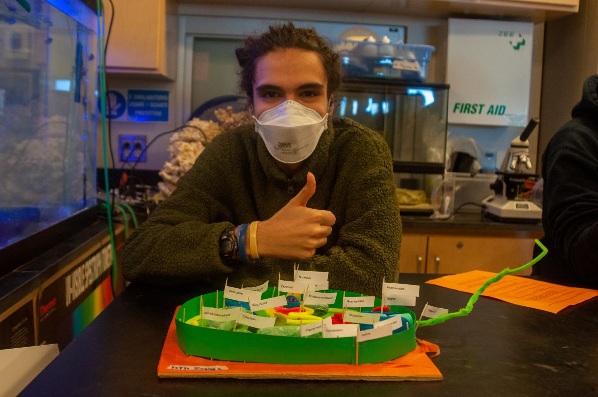 Eleventh Graders Create, Share 3D Cell Models | [Linked Stories — About Us]