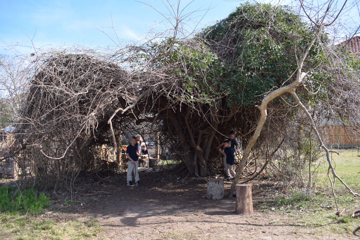 The Fairy Tree: A History | blog post
