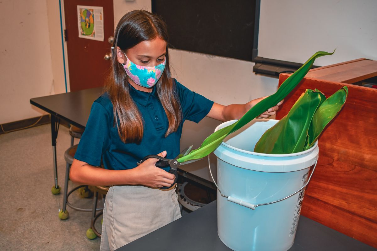 Ke Ao Nei Noho Hula & Ti Leaf Making | Post
