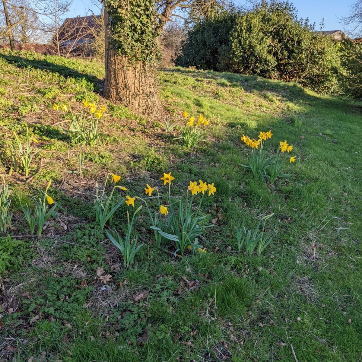 Head of House Roundup | Posts Page