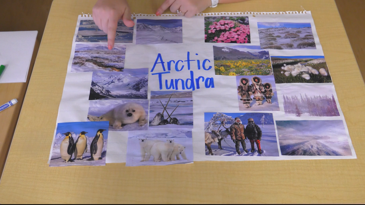 Focused Learning - All About Arctic Tundra! | Homeroom Kids! Pre-K! Details