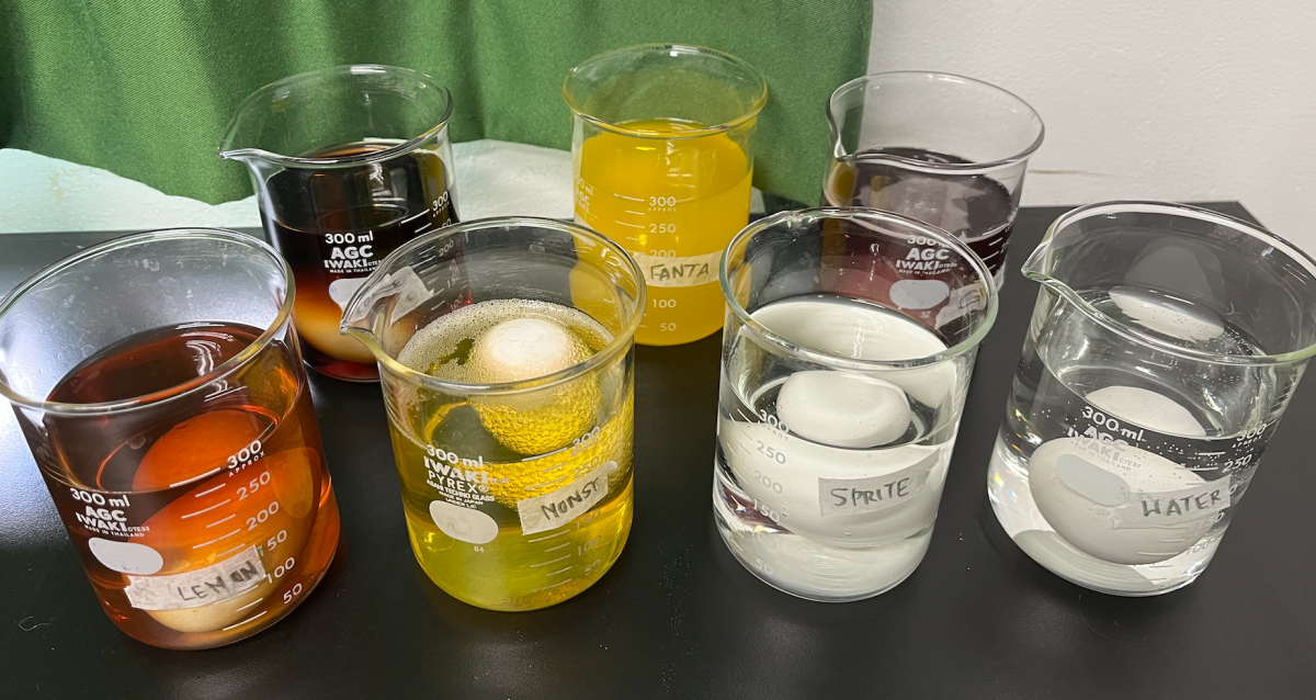 Do you know how much soft drinks affect your teeth? | Projects