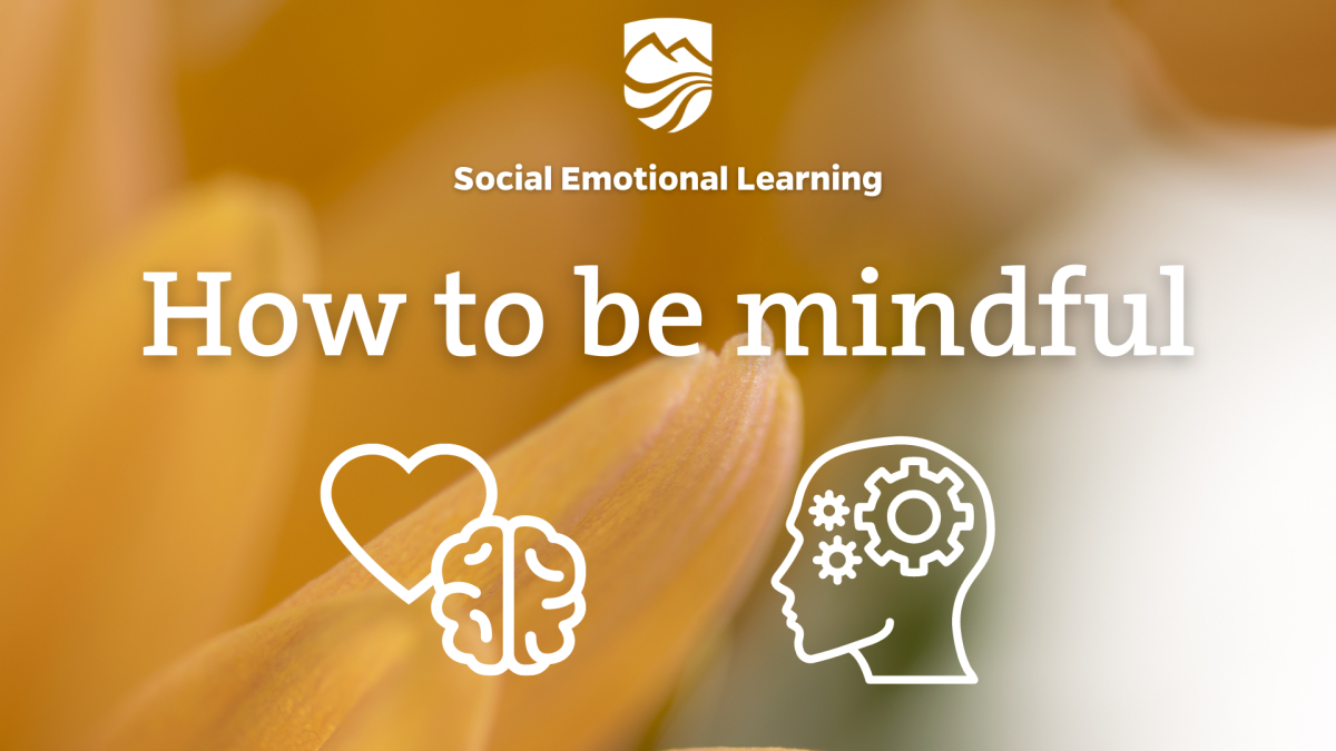 SEL at Home: How to be mindful | Blog Post - Meadowridge School