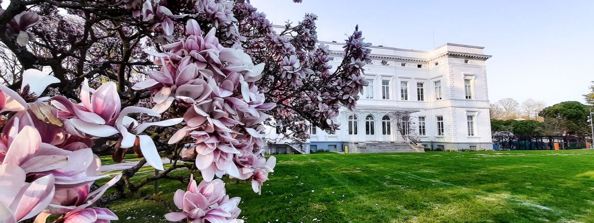 International School of Brussels | Success Story | Finalsite