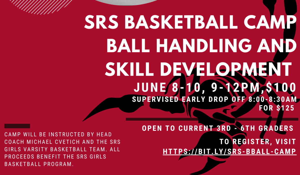 Scorpions Basketball Skills and Ball Handling 3-Day Camp | Private Post ...
