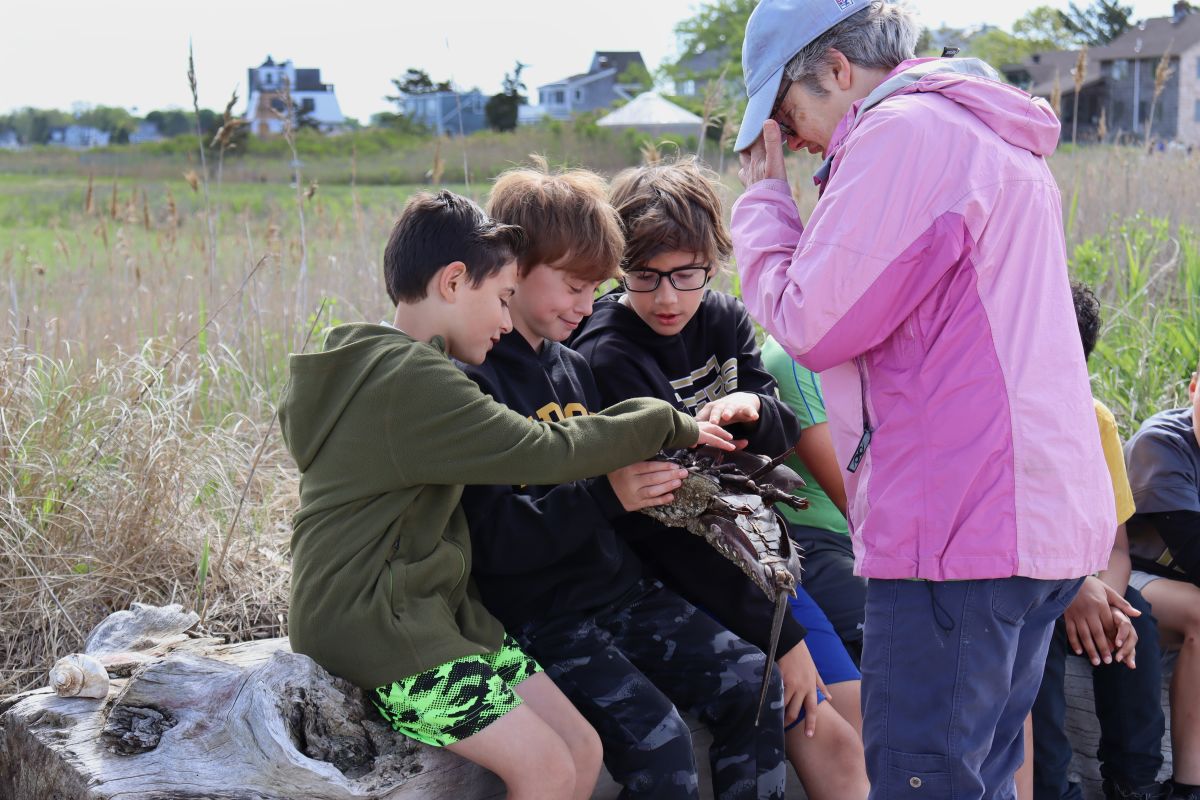 Science Field Trip to Circle Beach - Madison Public Schools