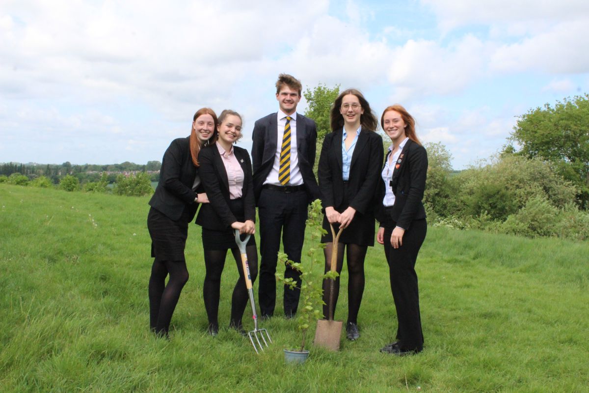 Queen's Green Canopy Project | Posts Page