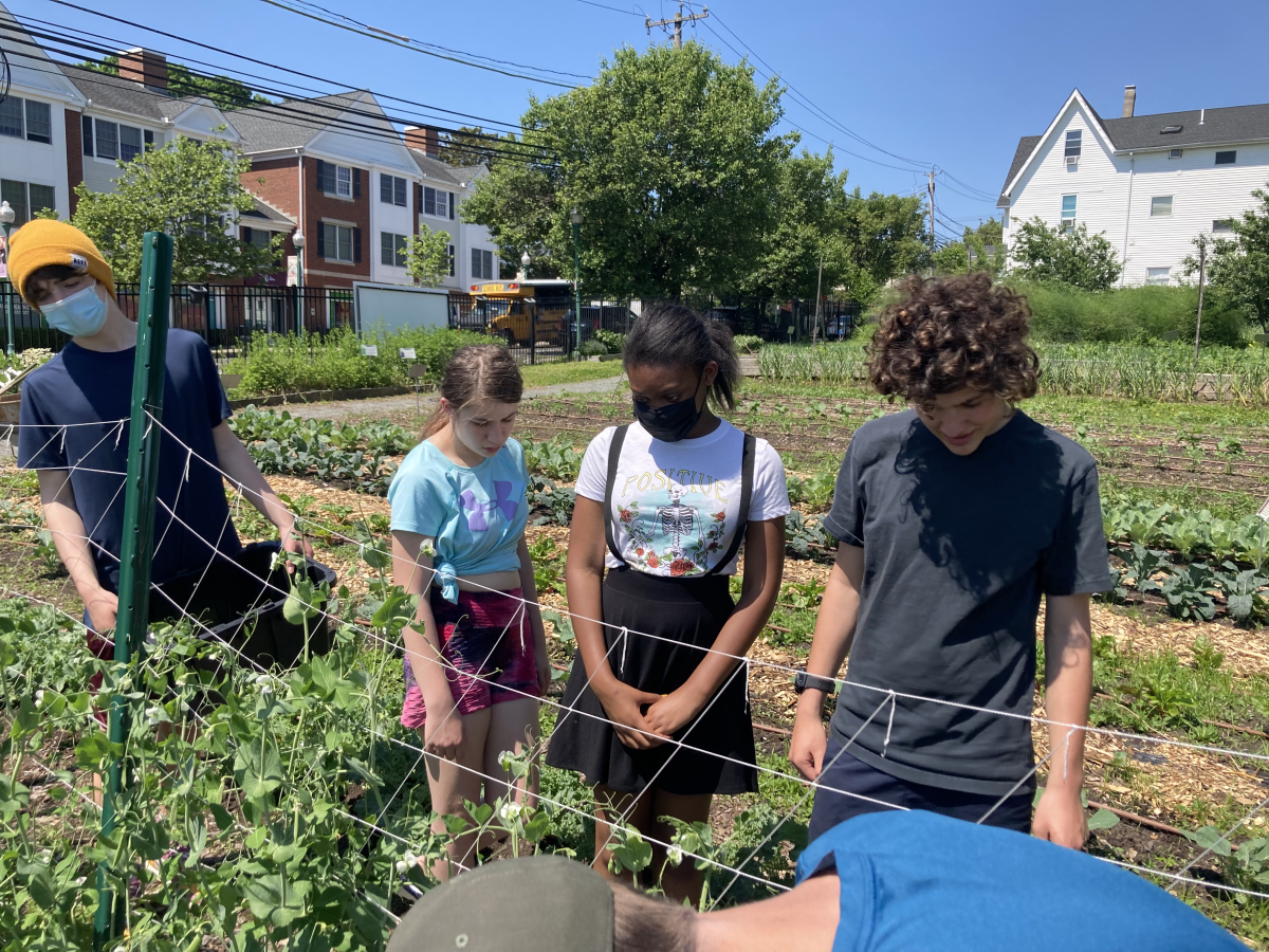 Seventh & Eighth Grades Trip to Fairgate Farm | News Story