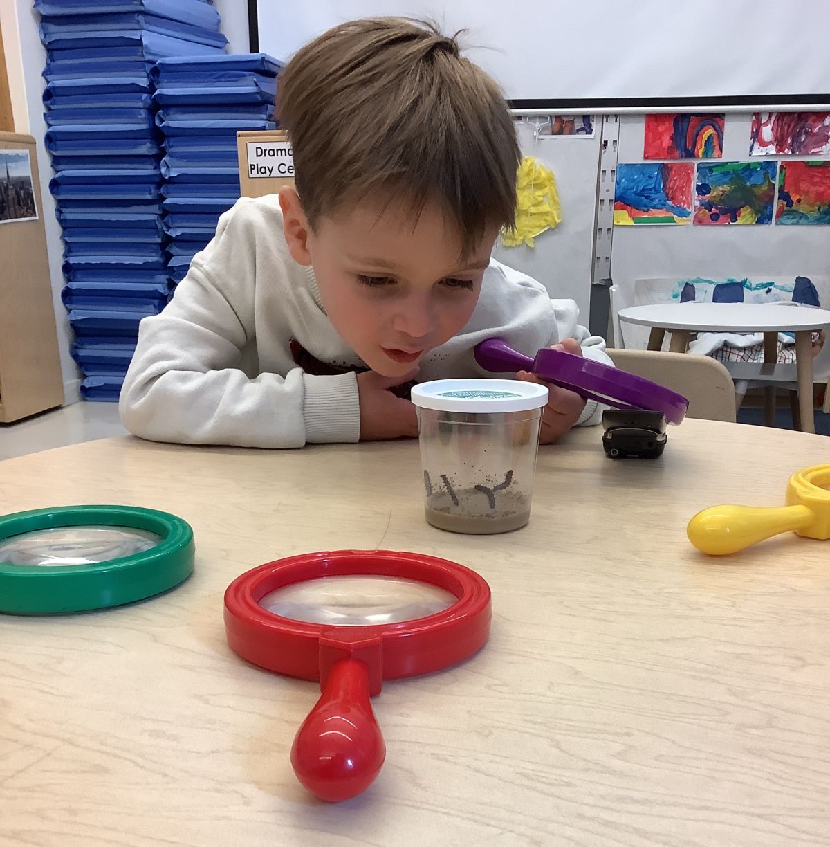 Our Classroom Caterpillars | Ramaz News - The Ramaz School