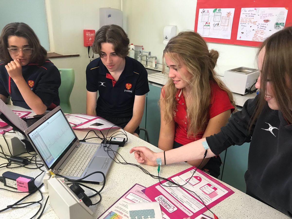 STEAM Pathway: Health Care and Sports Science | Posts Page