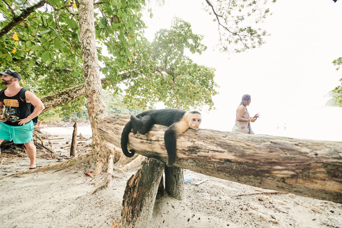 Science Day Activity | MS Teacher Details