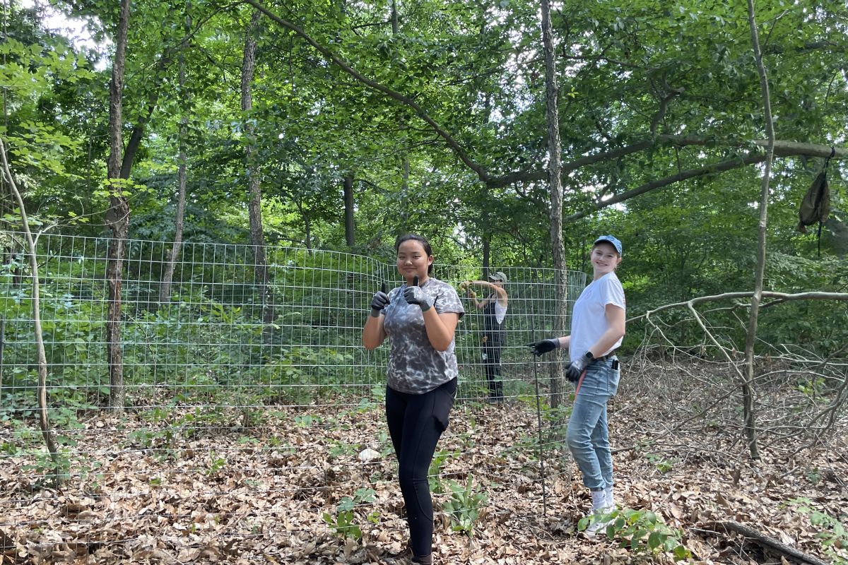 Restoration Ecology Interns Work to Save Campus Old Growth Forest ...
