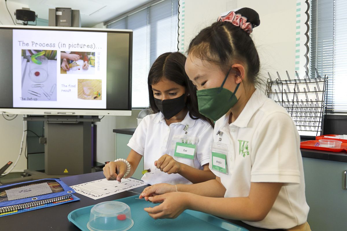 4th Graders Save Fred! And Learn the Scientific Method | News Post