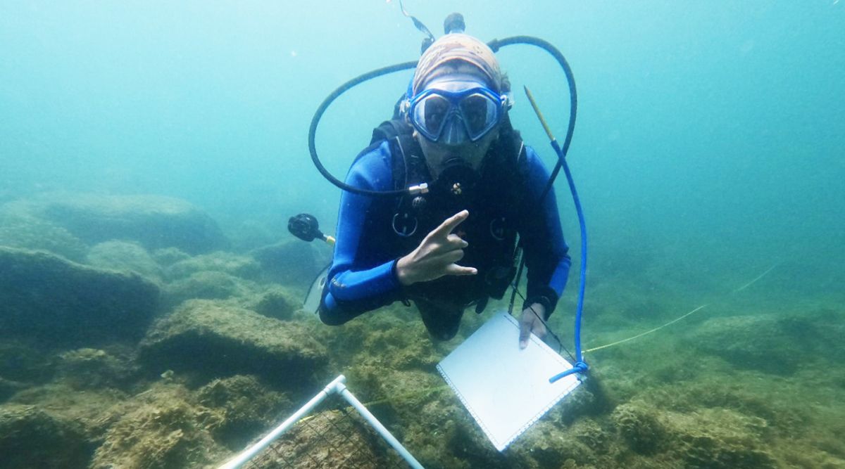 Marine Conservation: A Deep Dive into the Waters of Mexico | Featured