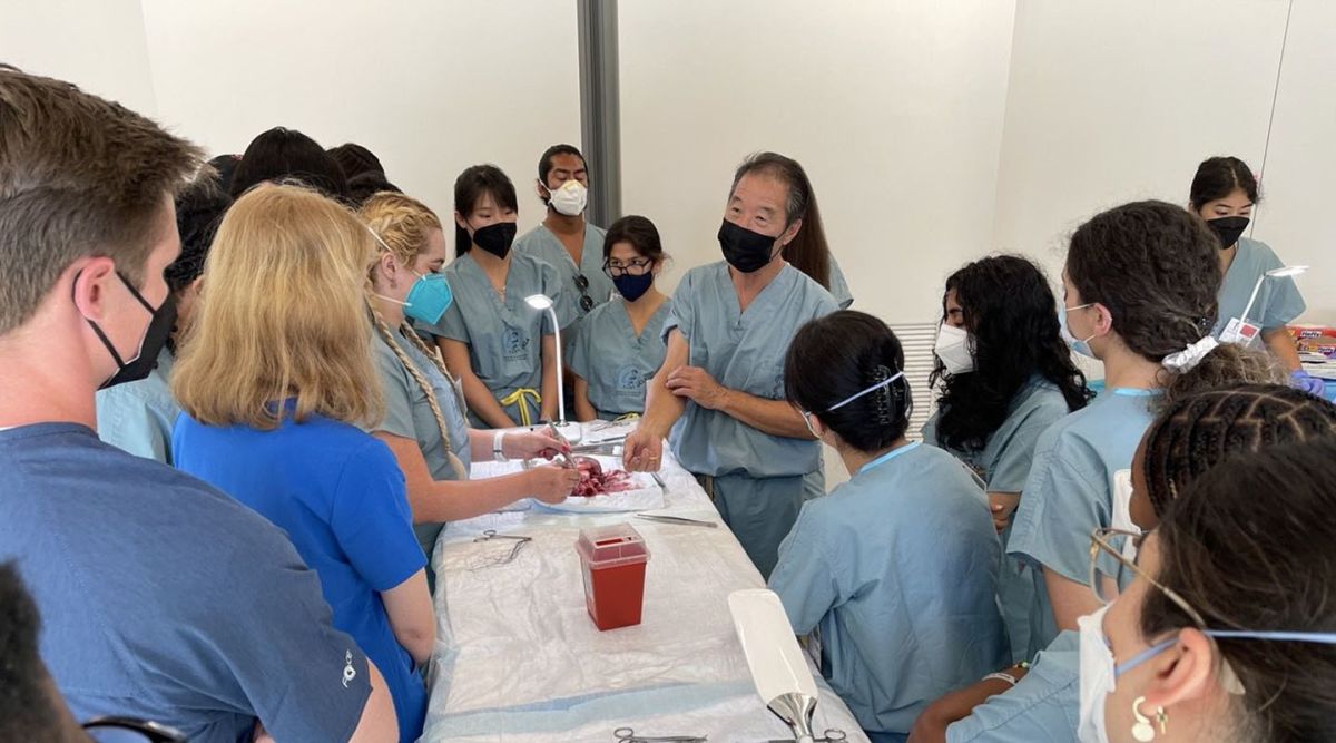 From Junior Doctor to Surgical Skills Intern | Featured