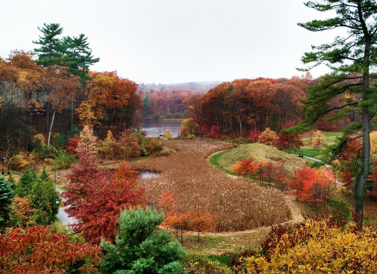 Wellesley '71 Speaker Series: Wellesley's Landscape | Events Details ...