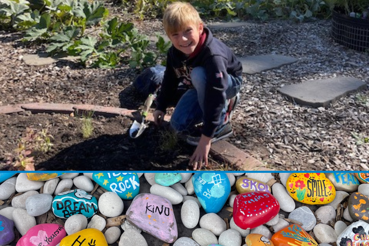 Zachary Lane continues to expand outdoor space | article