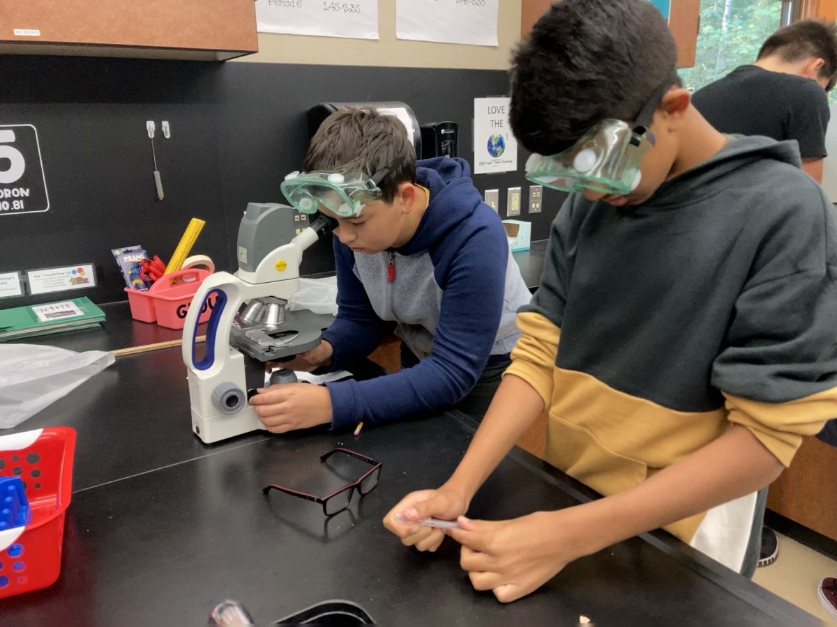 Ms. Chang's Biology Class Goes Microscopic | News Article - Maywood ...
