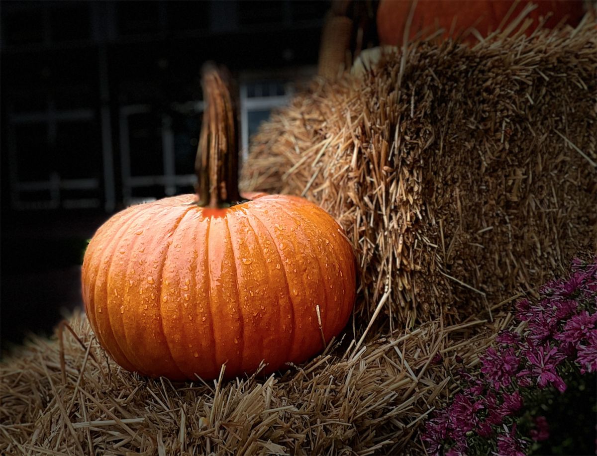 Middle School Nature Photography Club Captures the Beauty of Fall ...