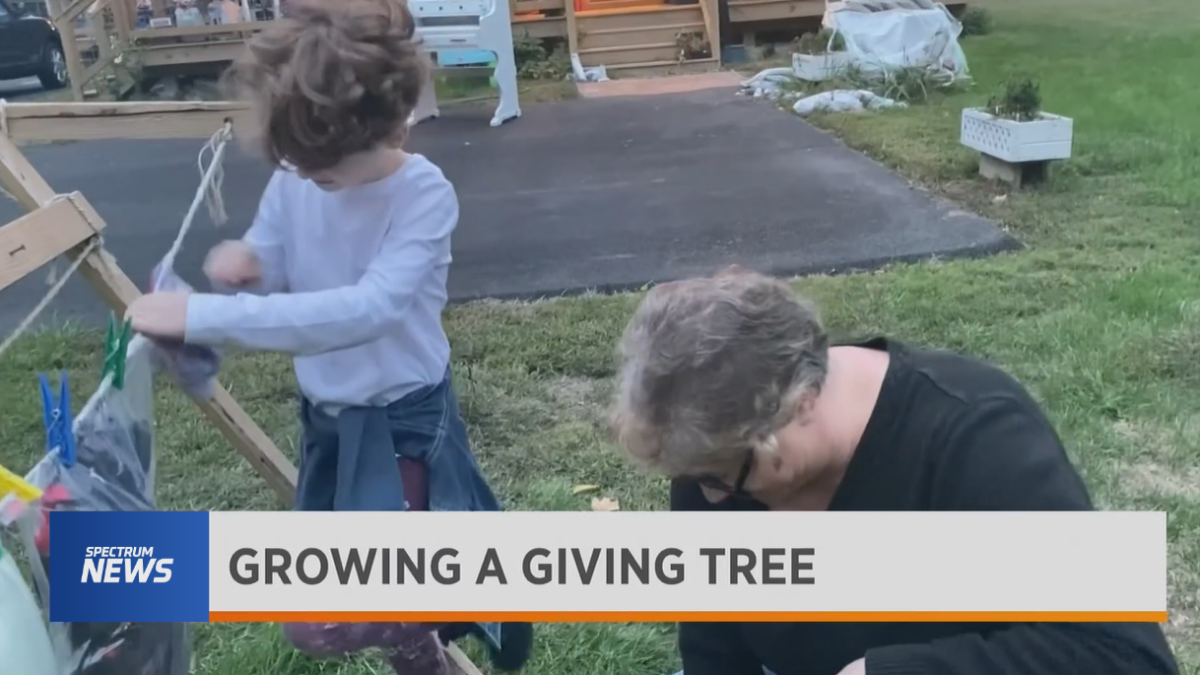 Taft Elementary student featured on Spectrum News 1 for giving tree | News Story