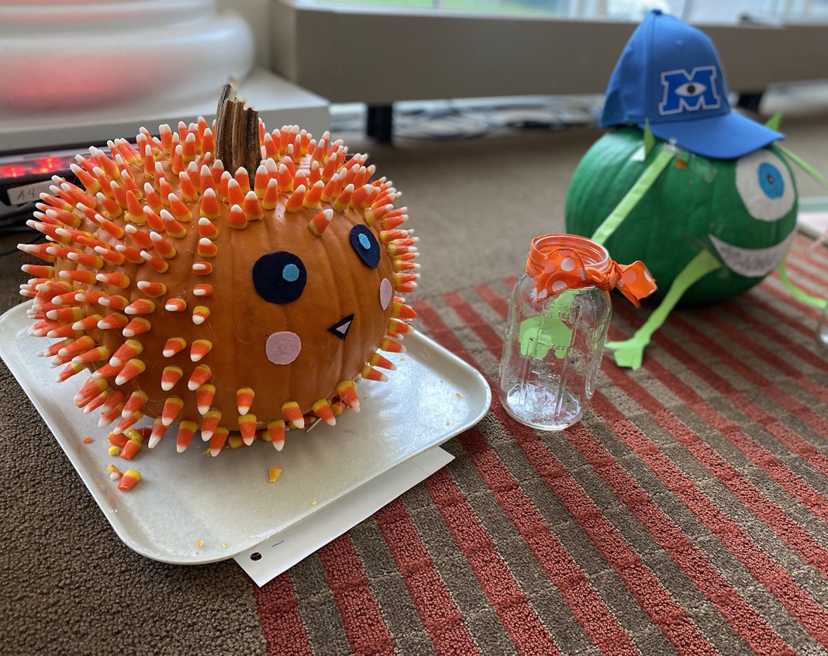 Middle School Pumpkin Decorating Contest Raises Money for Nourish New ...