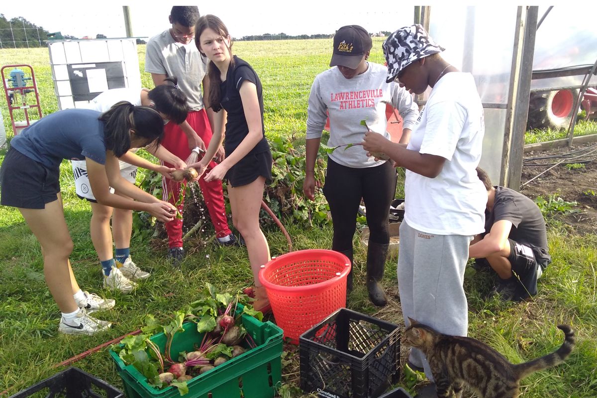 Finding a Home in Nature on the Big Red Farm | News Detail