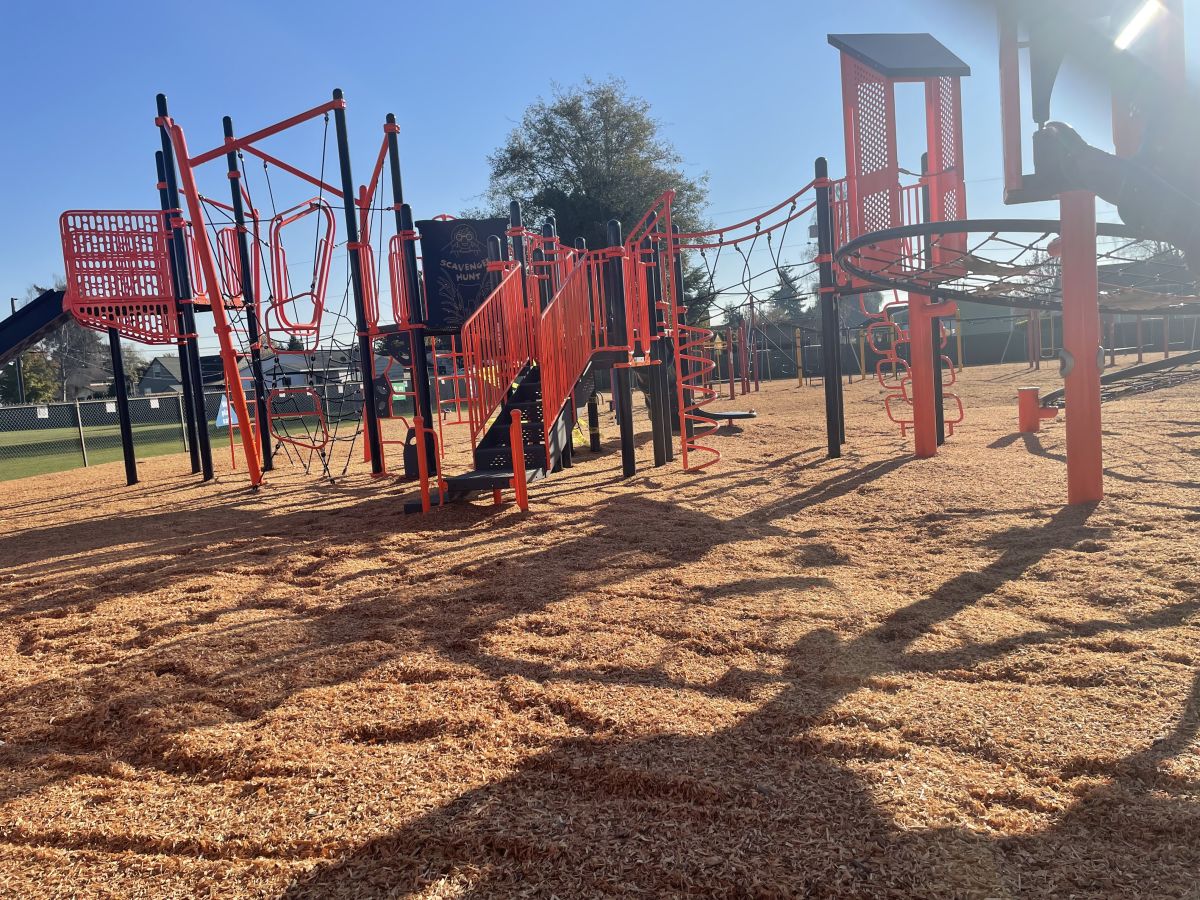 New Playground Update! | Post Detail